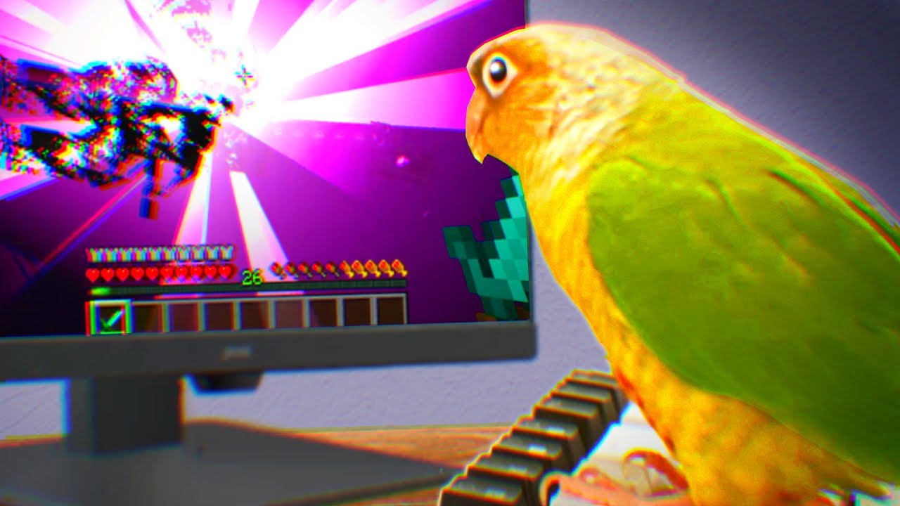 I Taught My Bird To Play Minecraft - Minecraft videos