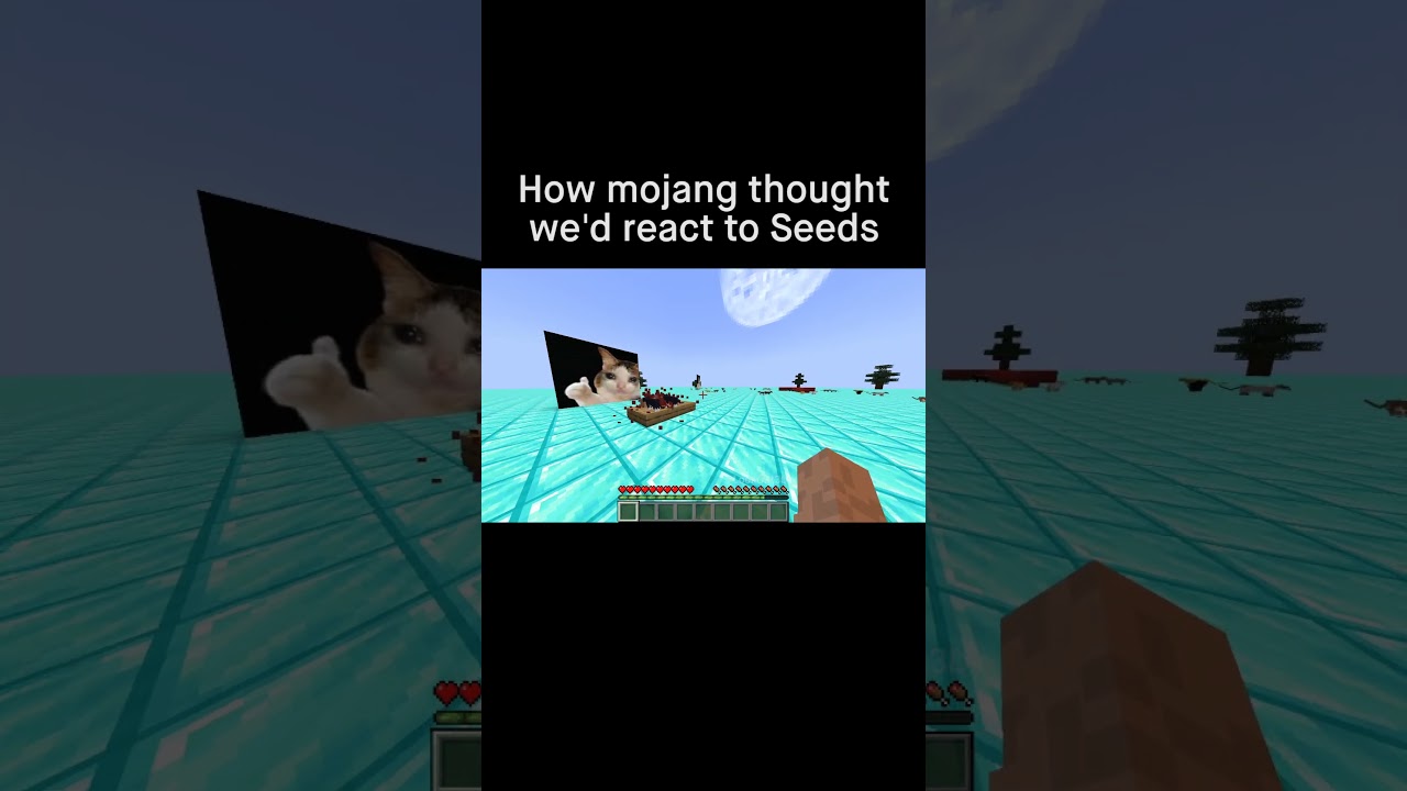 Minecraft how we react to Seeds - Minecraft videos