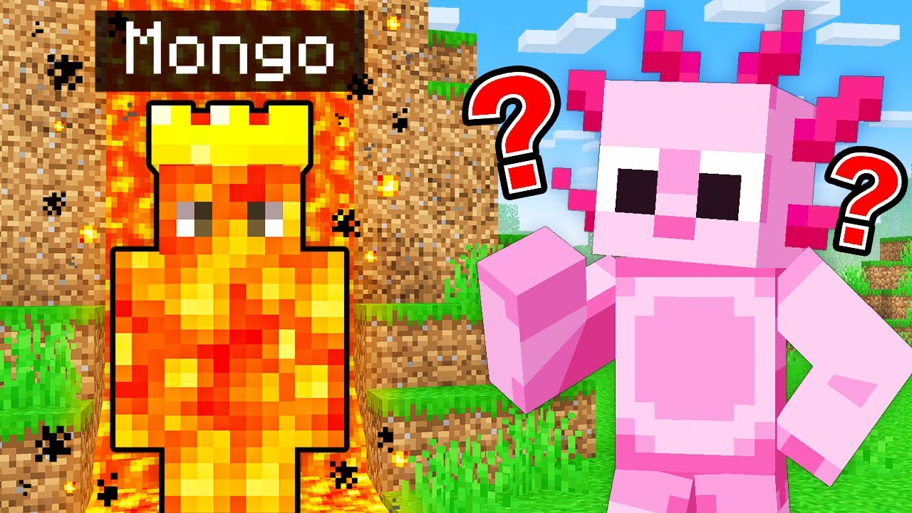 Camouflage Hide And Seek In Minecraft Prop Hunt Minecraft Videos 8641