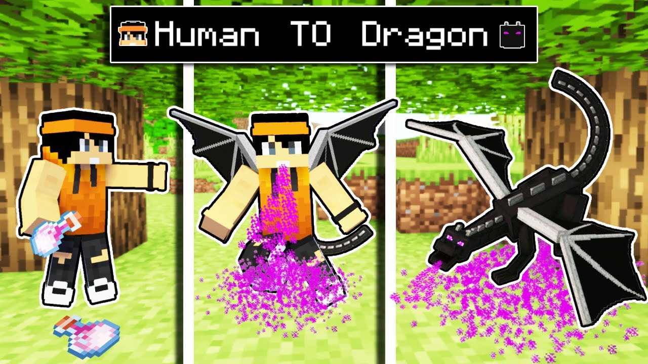 From HUMAN To DRAGON Story in Minecraft - Minecraft videos