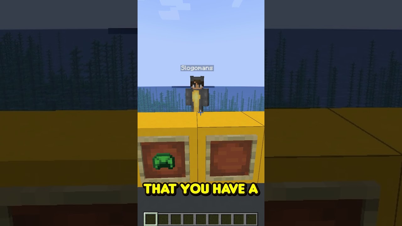 Guess The ARMOR Challenge in Minecraft! (VS Slogo) - Minecraft videos