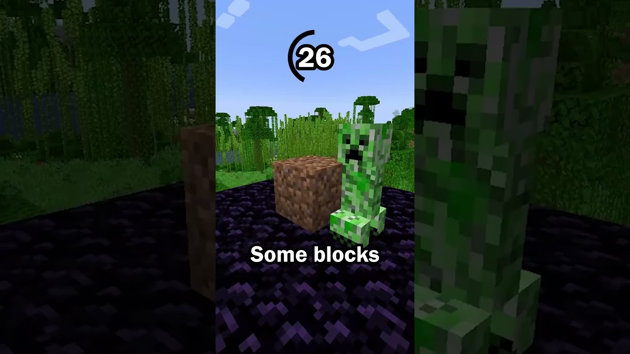 Guess the Minecraft block in 60 seconds 35 - Minecraft videos