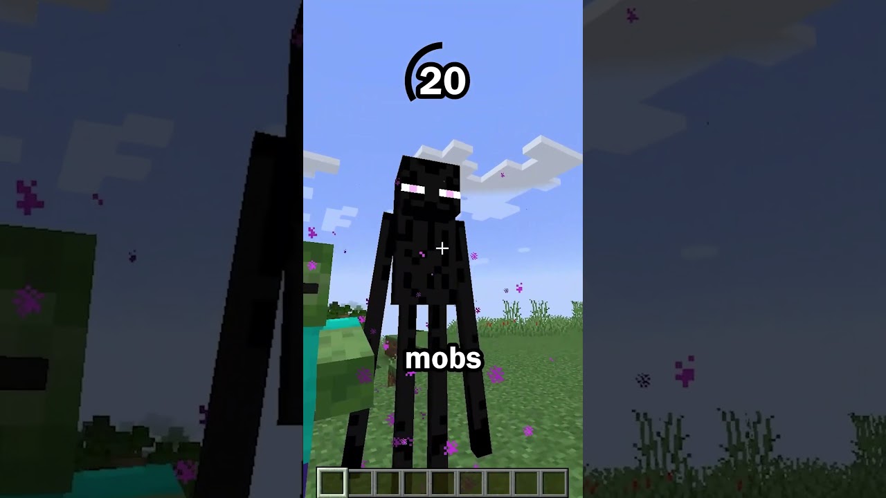 Guess the Minecraft mob in 60 seconds 29 - Minecraft videos