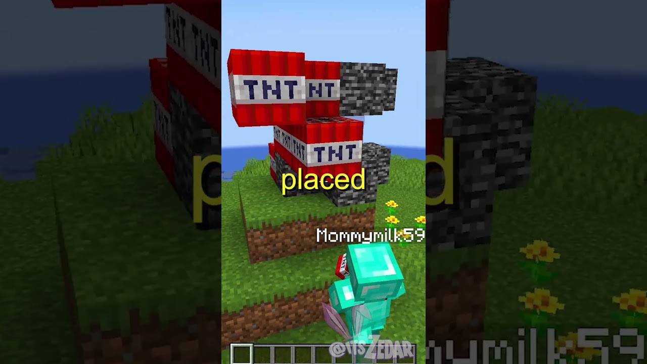 Helping the BIGGEST NOOB on my Minecraft Server! - Minecraft videos