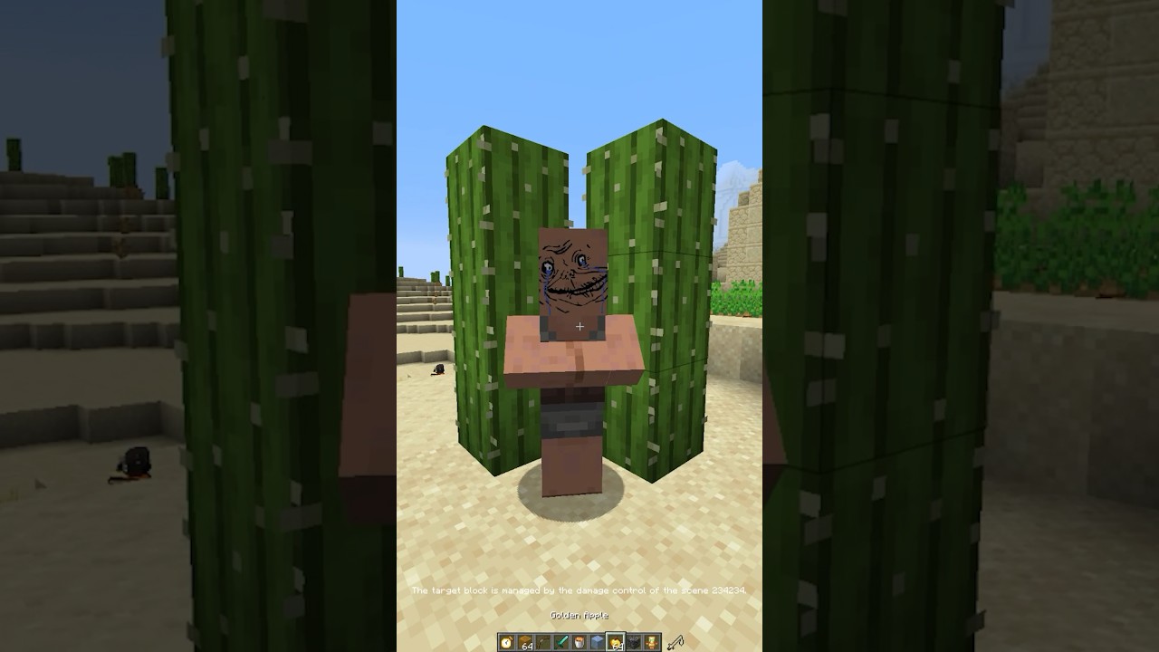 POV: Playing on the most awful, craziest laggy server ever #minecraft # ...