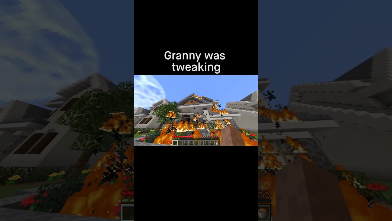 Minecraft Meme - Minecraft videos