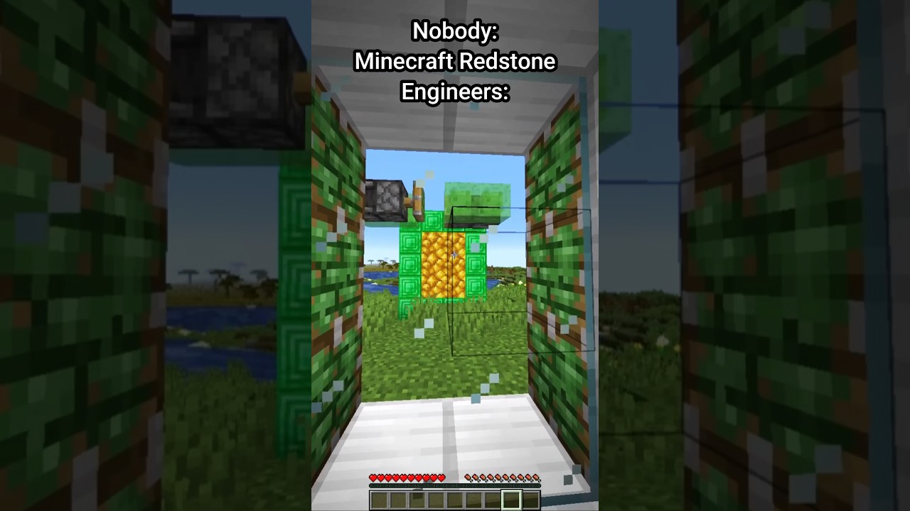 Minecraft moment - Minecraft videos