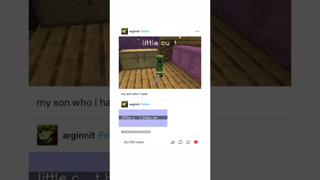 A Minecraft Tumblr Post - Minecraft videos