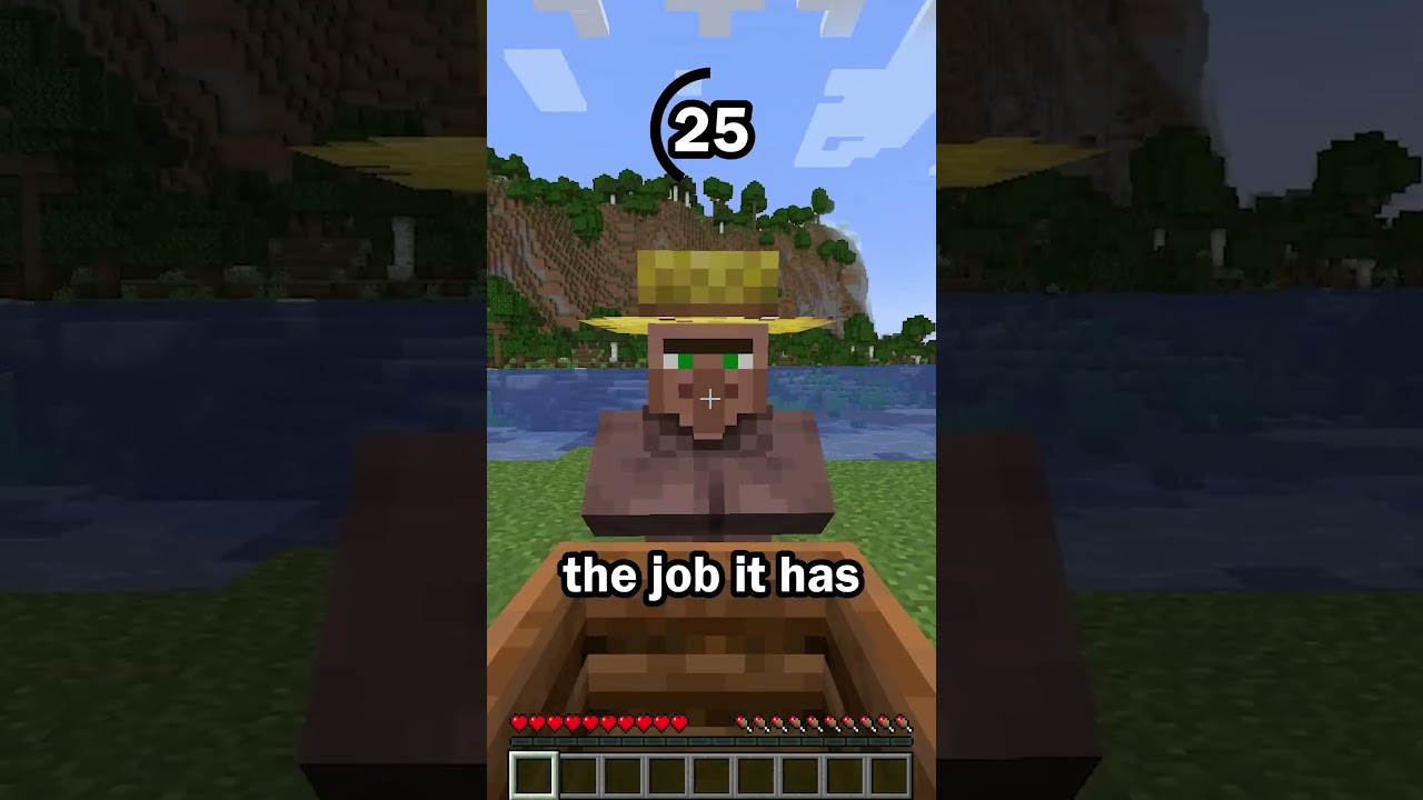 Guess the Minecraft block in 60 seconds 45 - Minecraft videos