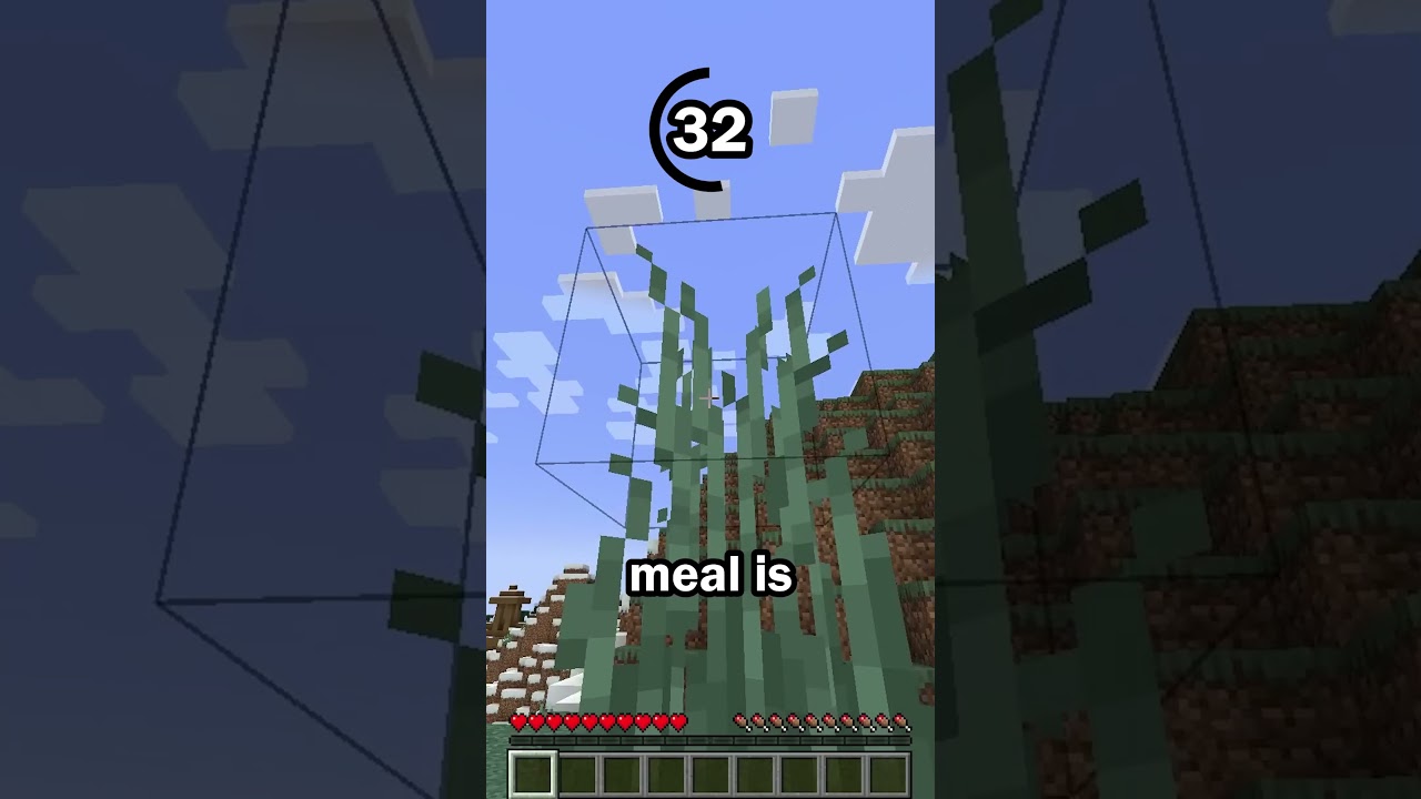 Guess the Minecraft block in 60 seconds 46 - Minecraft videos