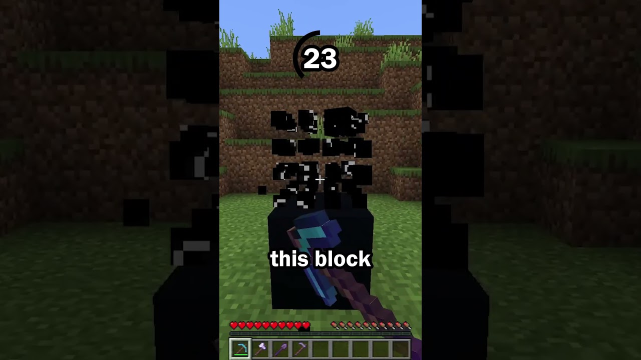Guess the Minecraft block in 60 seconds 47 - Minecraft videos