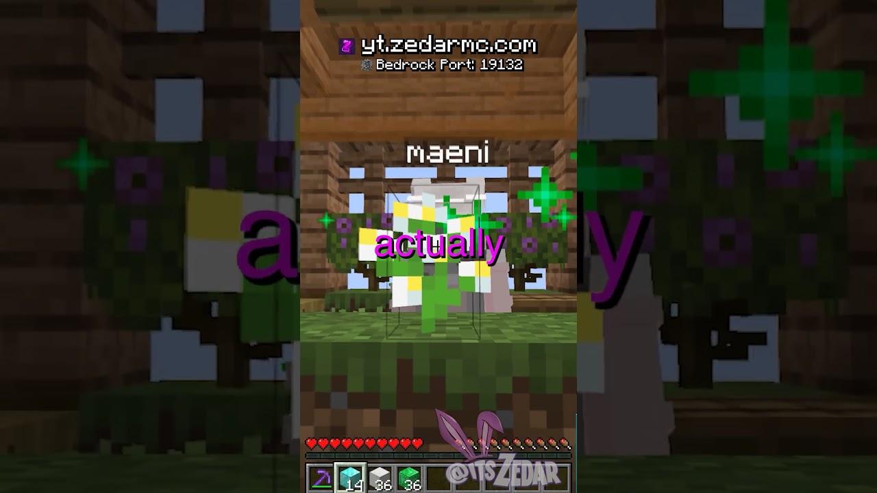 I Found the NICEST Player on my Minecraft Server - Minecraft videos