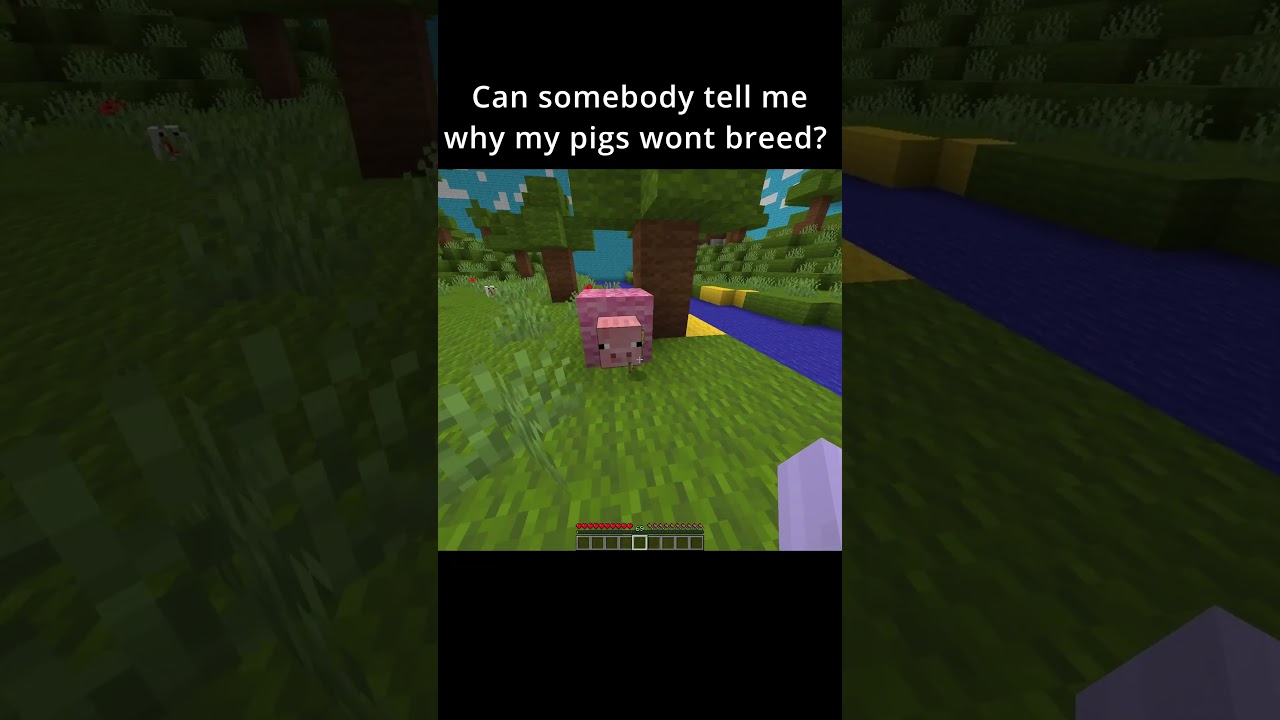 Minecraft Breeding Pigs - Minecraft videos