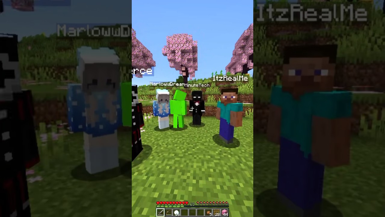 Minecraft chase - Minecraft videos