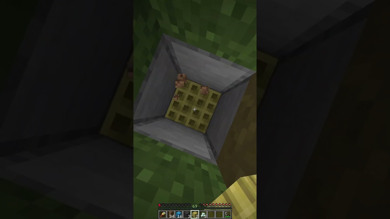 Truman Show In Minecraft PT. 18 - Minecraft videos