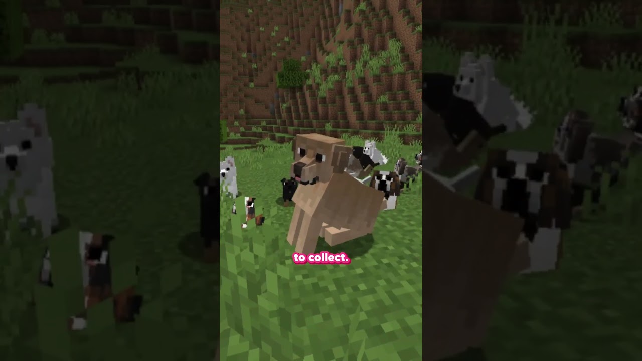 Better Dogs in Minecraft - Minecraft videos