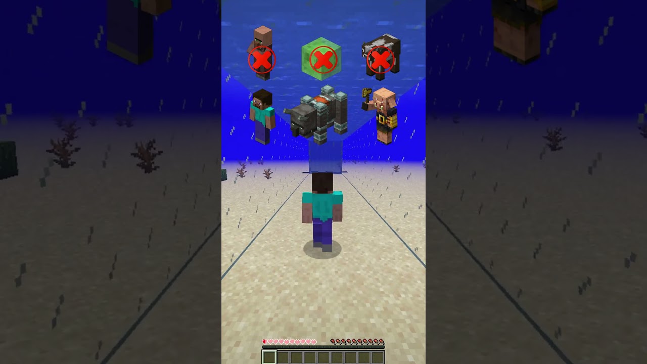 Drowning Damage Test vs Different Mobs #shorts #minecraft #memes ...