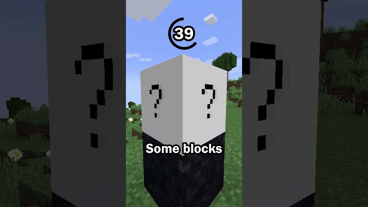 Guess the Minecraft block in 60 seconds 55 - Minecraft videos