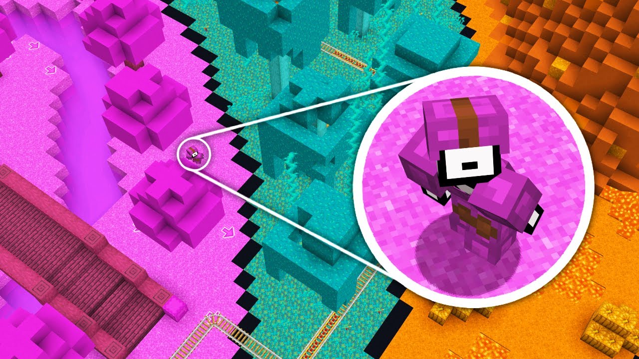 Minecraft's Most DIFFICULT Hide and Seek Match! - Minecraft videos