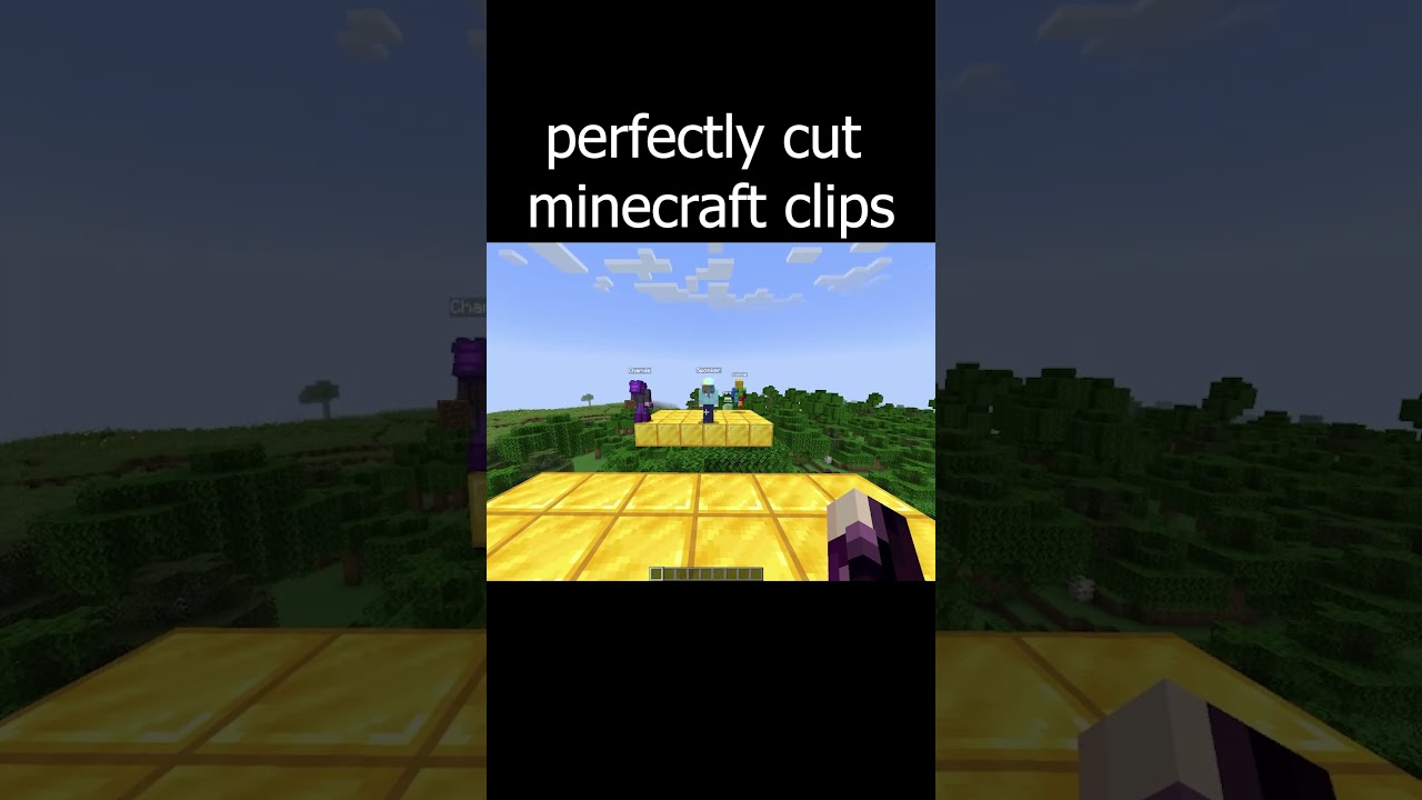 Perfectly Cut Minecraft Moments of 2024 - Minecraft videos