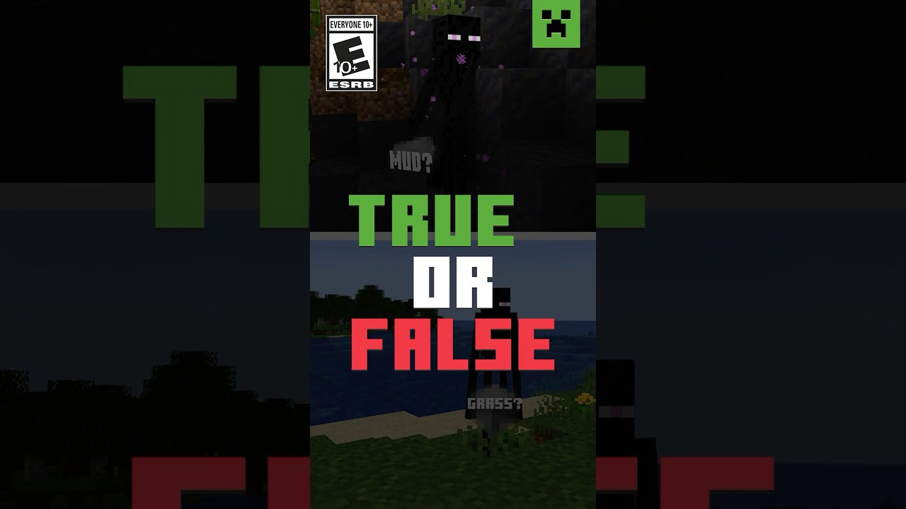 TRUE OR FALSE? - Minecraft videos