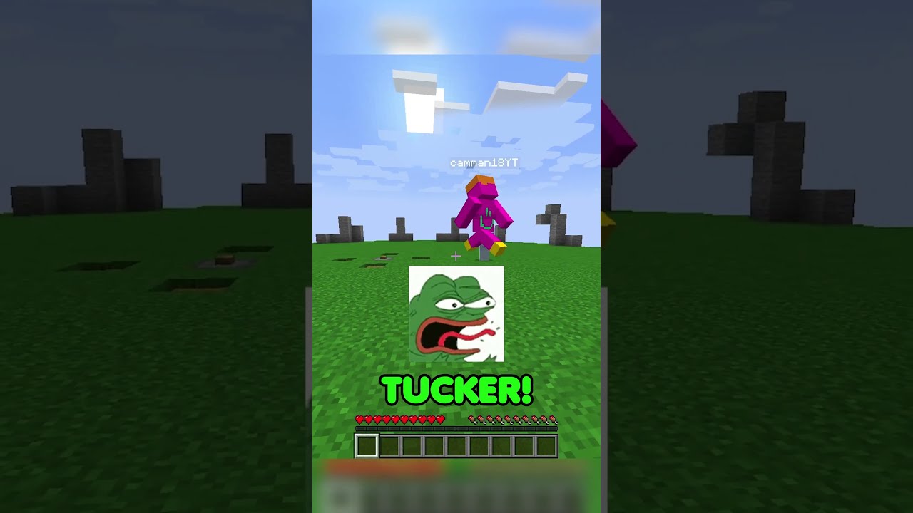 The Craziest Arrow Toss #shorts #minecraft #minecraftshorts - Minecraft ...