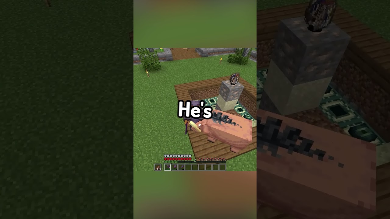 getting tickled by a hoglin in minecraft - Minecraft videos