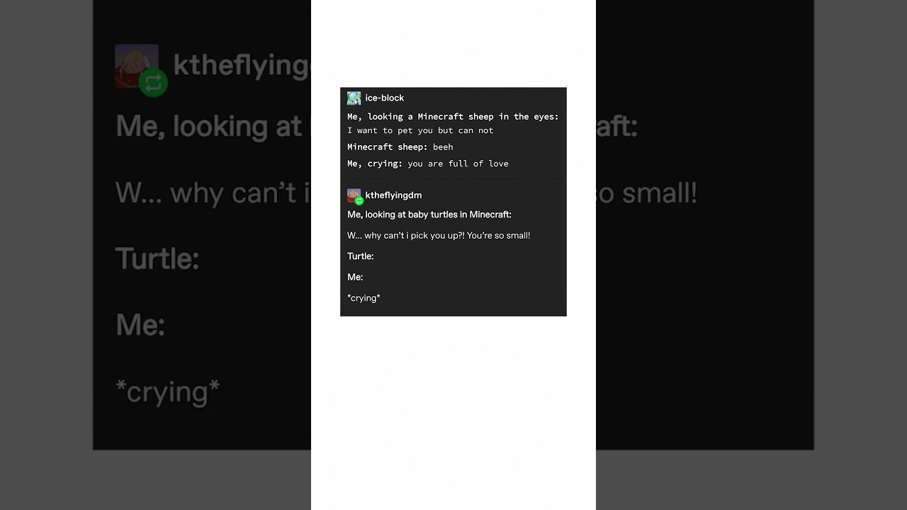 A Minecraft Tumblr Post - Minecraft videos