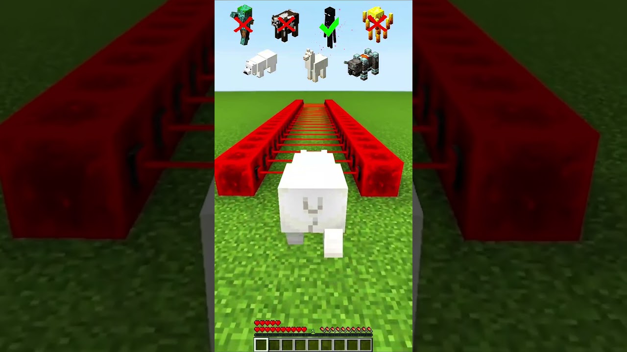 Mob Test vs Damage in Minecraft #minecraft #shorts #short - Minecraft ...