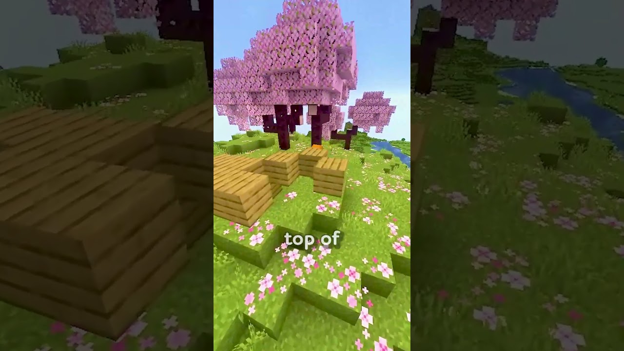Never Go to the Cherry Blossom Biome in Minecraft! #shorts - Minecraft ...