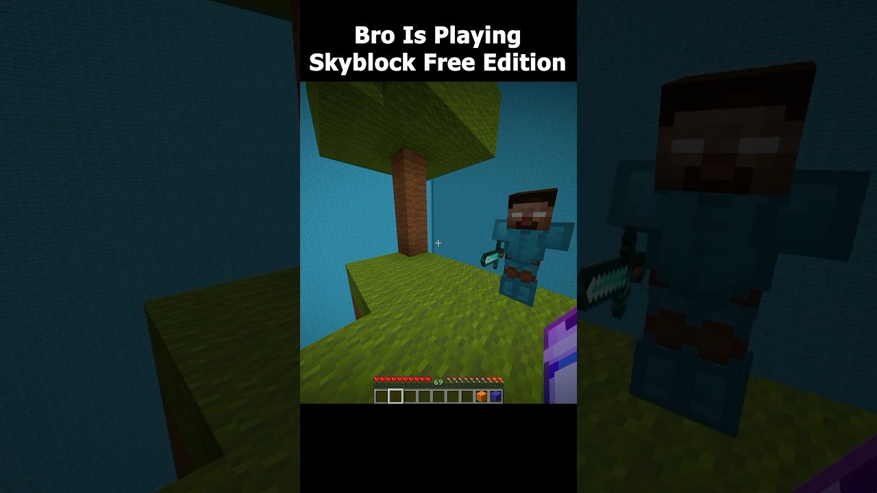 Skyblock Free Edition #minecraft - Minecraft videos