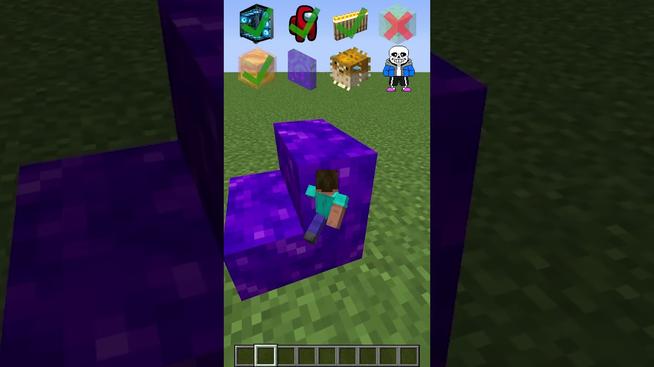 Smallest Fit vs Different Gaps #meme #minecraft #shorts - Minecraft videos