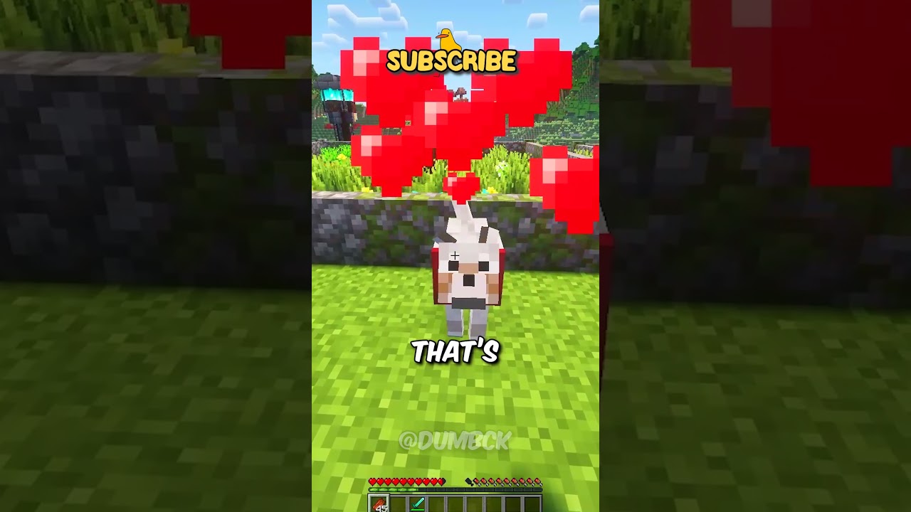 THE MOST USELESS ITEM IN MINECRAFT! #shorts - Minecraft videos