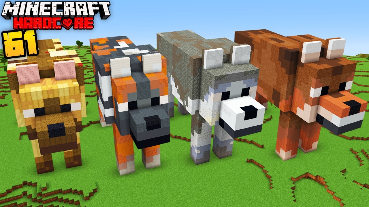 I Built EVERY WOLF VARIANT in Minecraft Hardcore - Minecraft videos