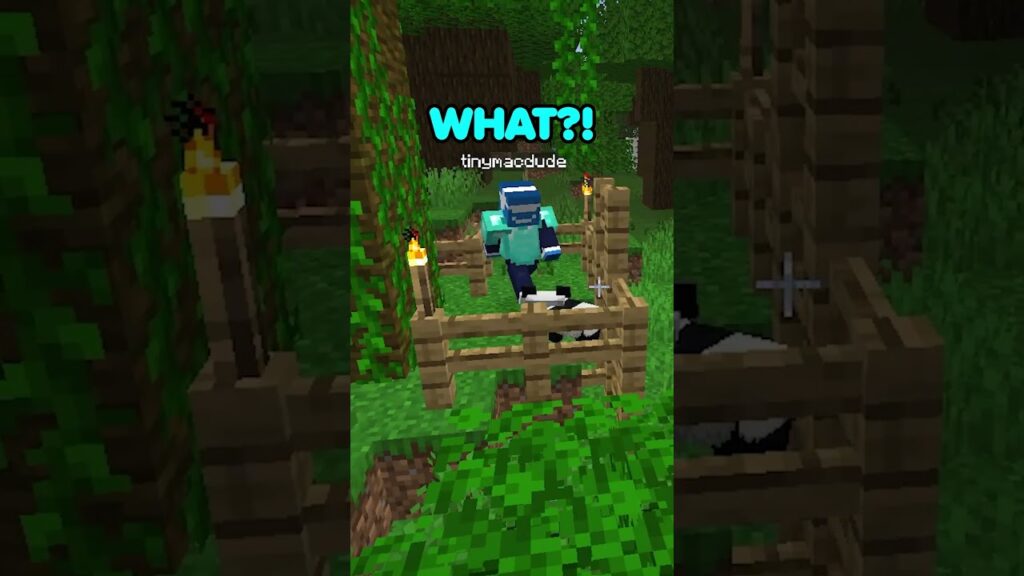 CheapPickle, Author at Minecraft videos