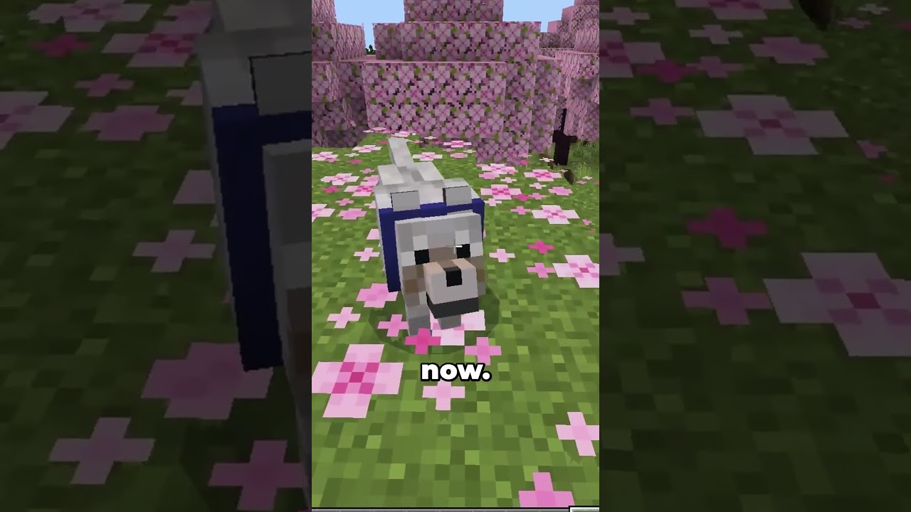 Minecraft Bedrock Just Got WHAT New Feature!? - Minecraft videos Minecraft Bedrock Just Got WHAT New Feature!? - Minecraft videos