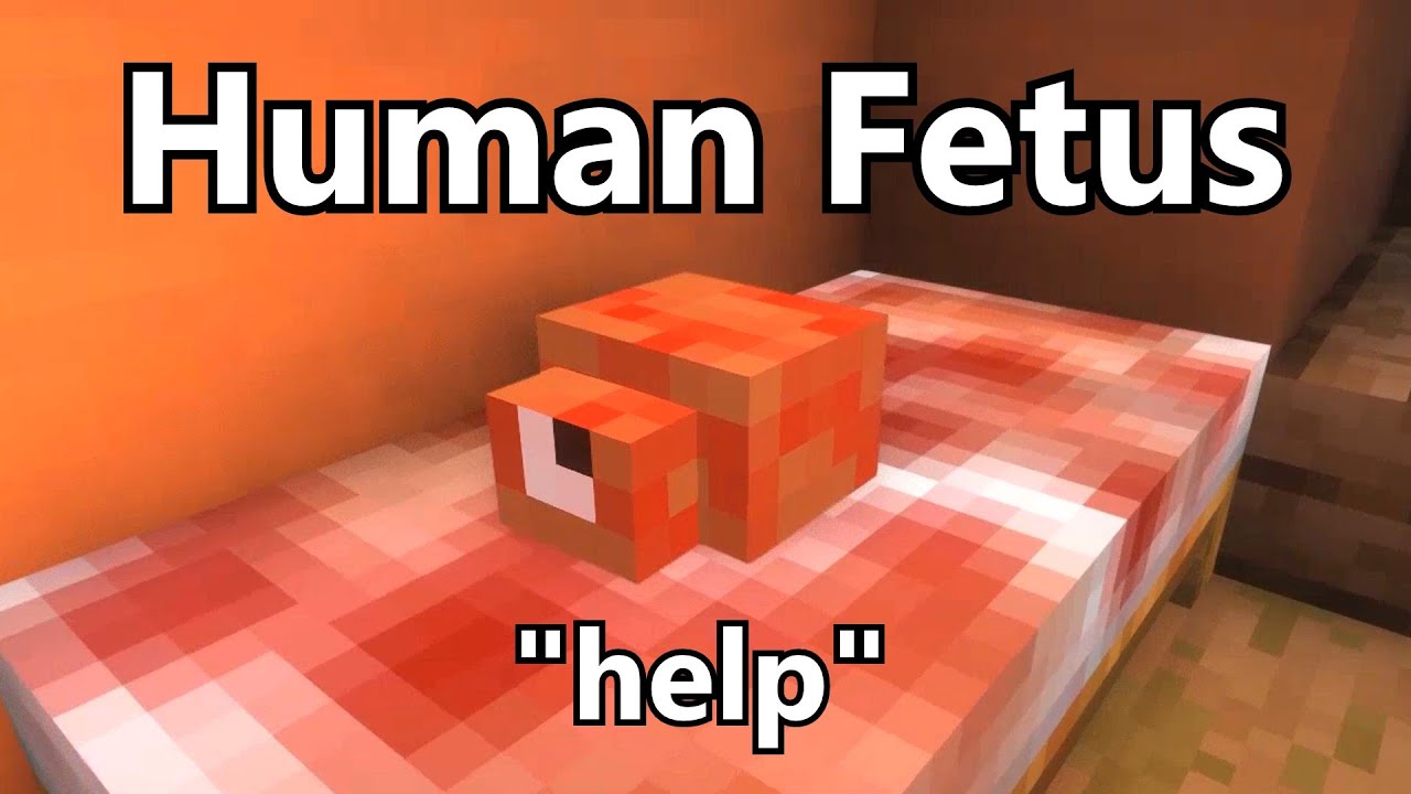 Most Disturbing Human Experiments Explained Using Minecraft - Minecraft ... Most Disturbing Human Experiments Explained Using Minecraft - Minecraft ...