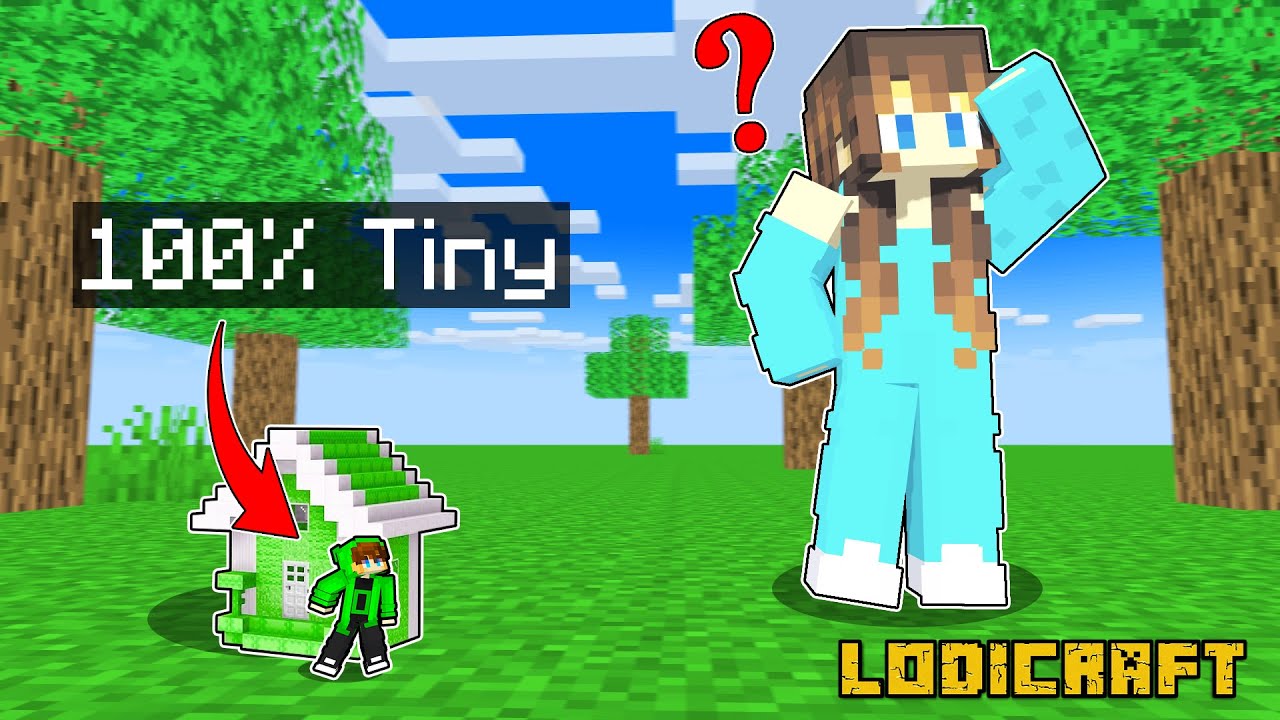 Using 100 Tiny House To Cheat In Minecraft Hide N Seek Minecraft Videos 2984