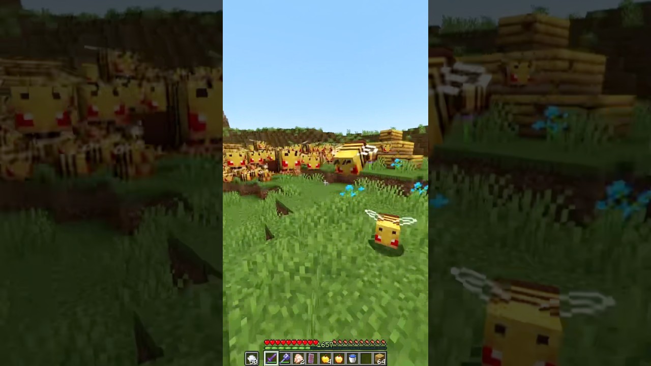 Minecraft moment - Minecraft videos