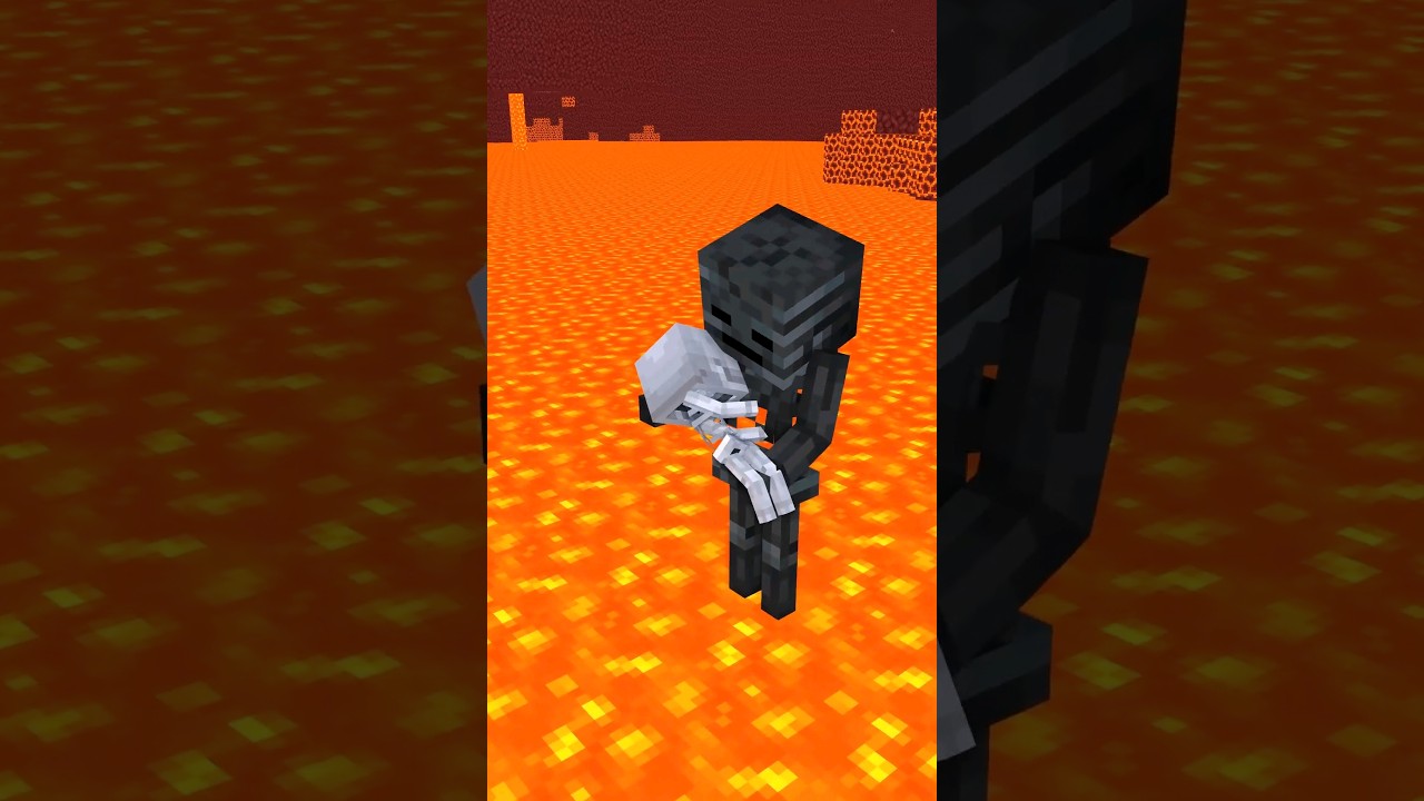 HELP Save baby skeleton Wither X Skelly Pillagers attack (Past Lives ...