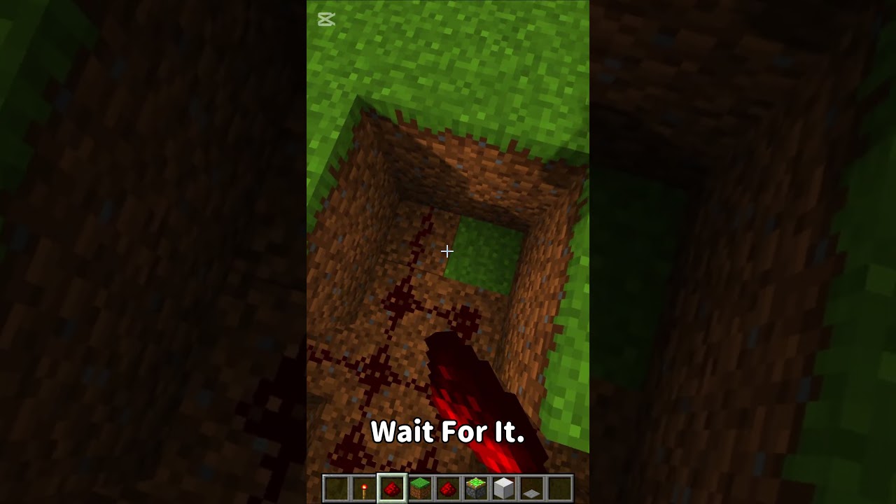 How To Build A Automatic Door in Minecraft? #minecraft #minecraftbuilding #fyp - Minecraft videos