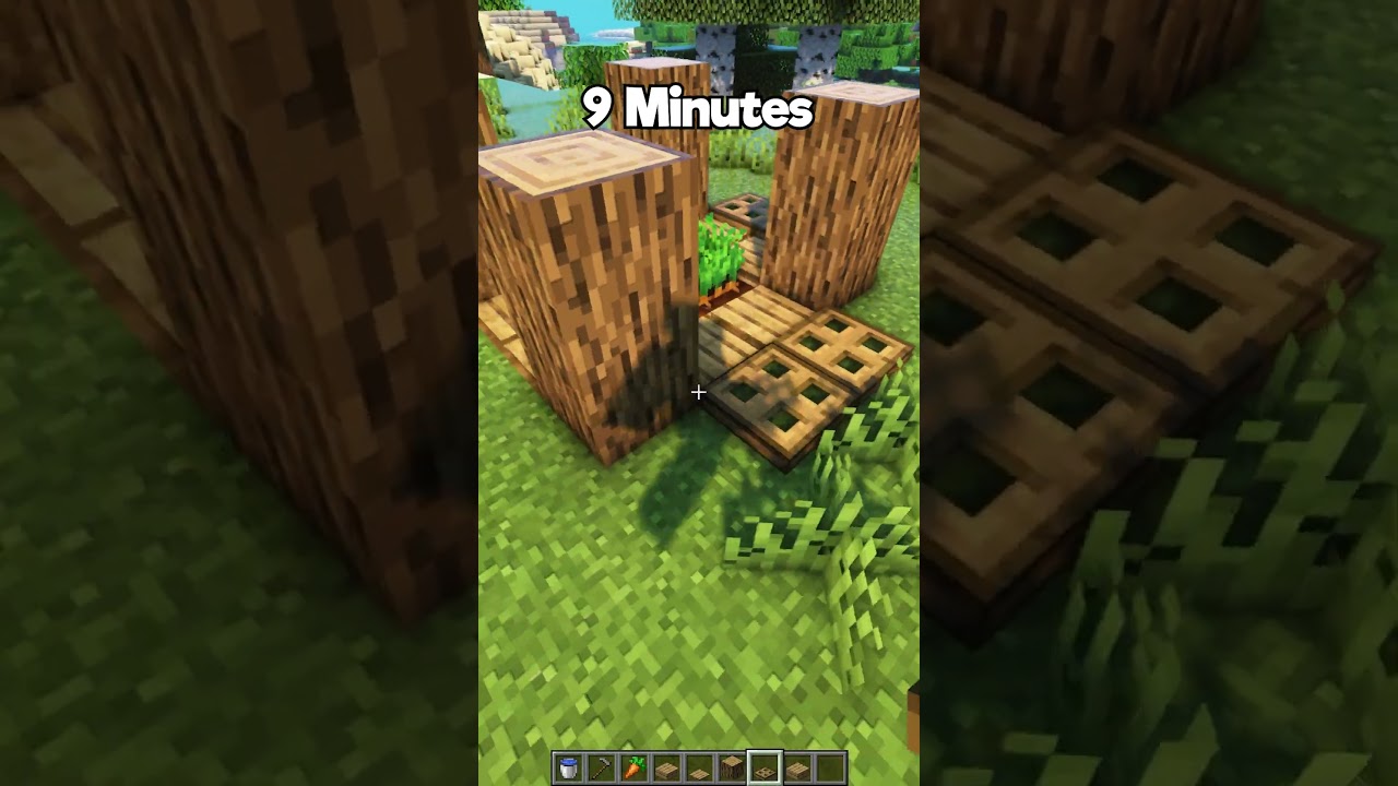 Minecraft Rabbit TRAP at Different Times (Sigma Boy) #minecraft #shorts ...