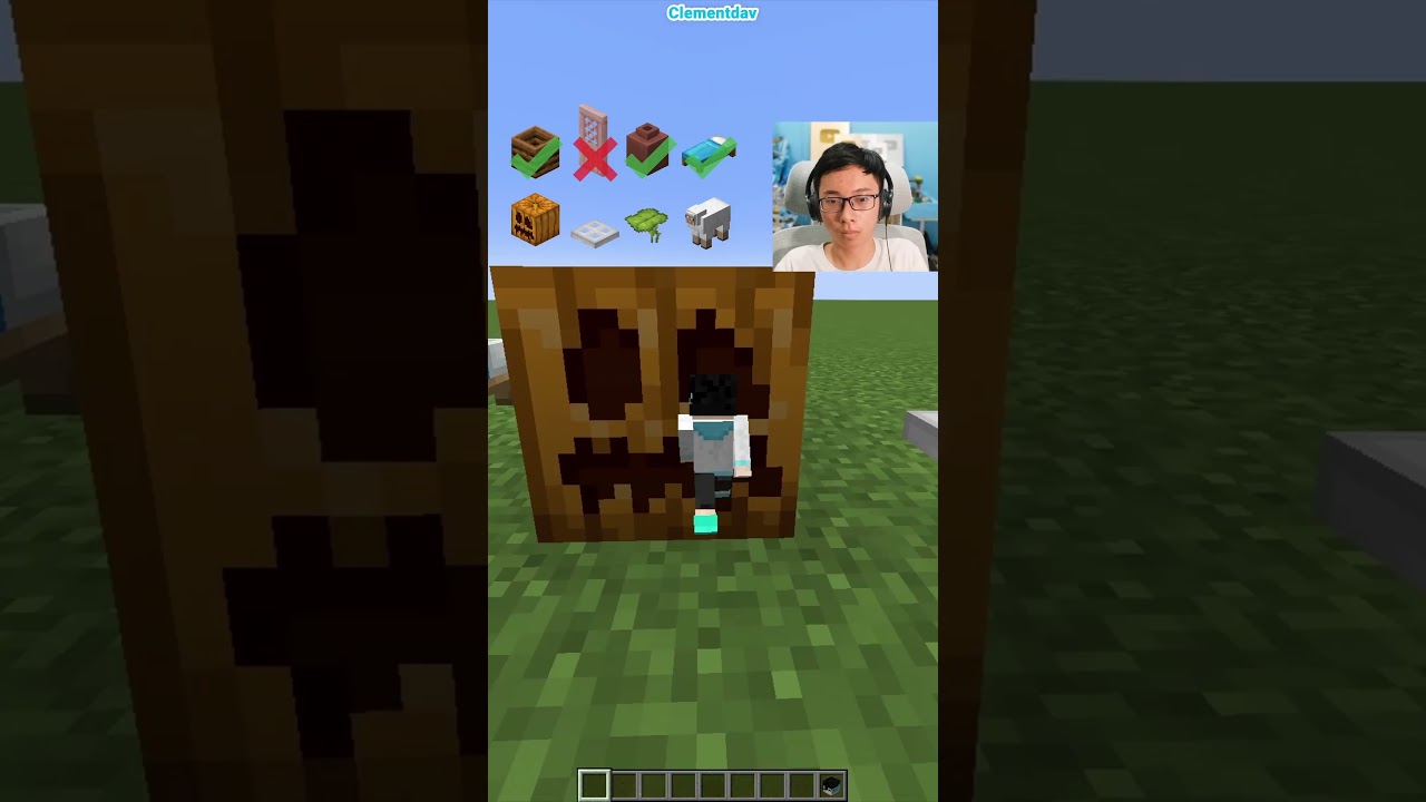 Minecraft Will I Fit? (Sigma Boy) - Minecraft videos