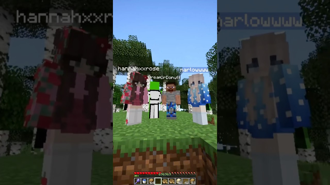 Minecraft chase - Minecraft videos