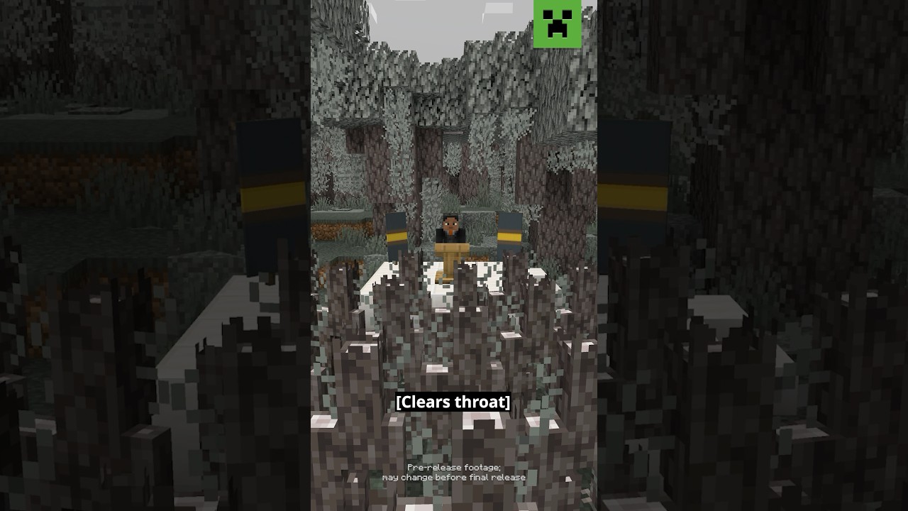 NAME AND DATE ANNOUNCEMENT! - Minecraft videos