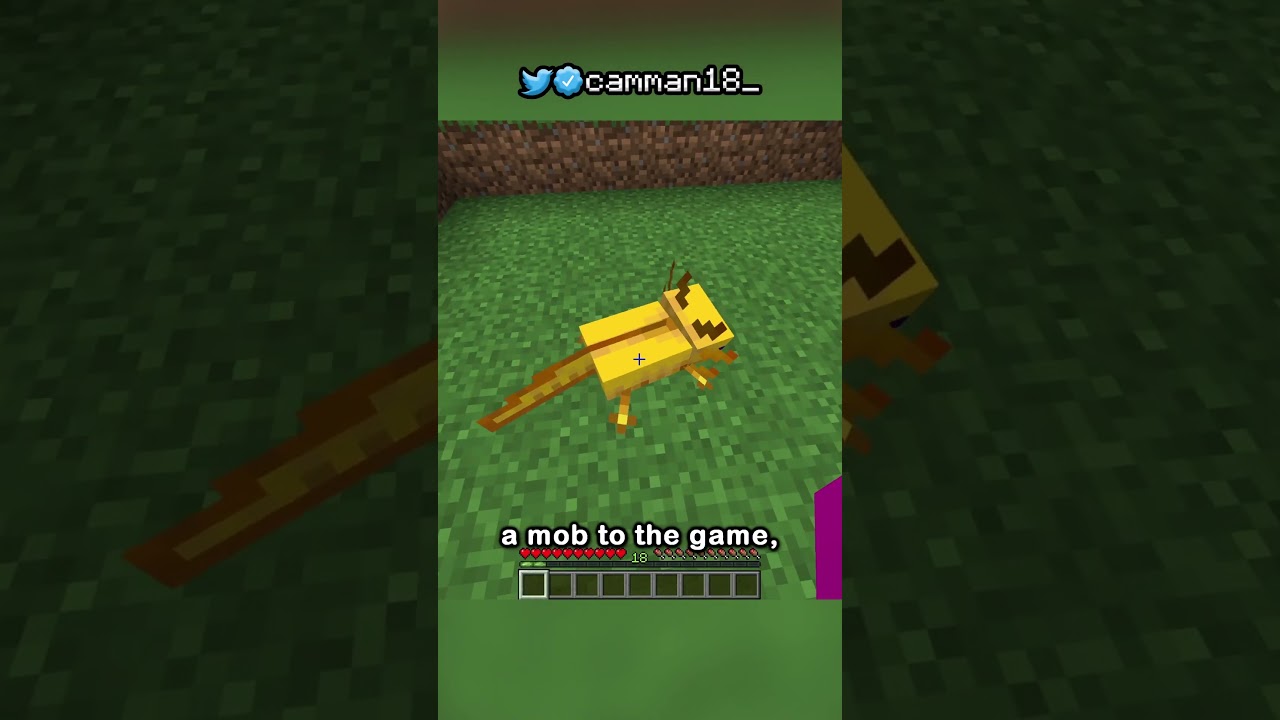 minecraft literally made axolotls :skull: - Minecraft videos