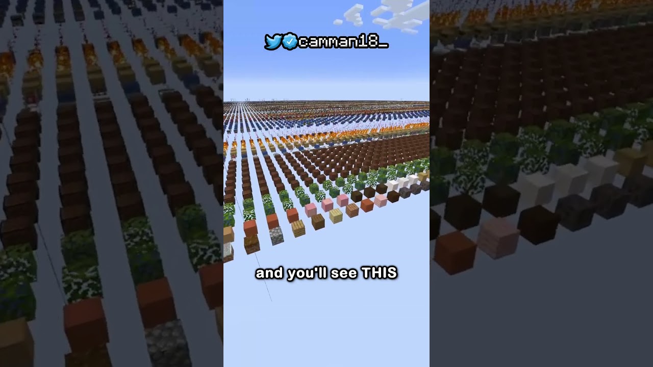 the secret minecraft world type... - Minecraft videos