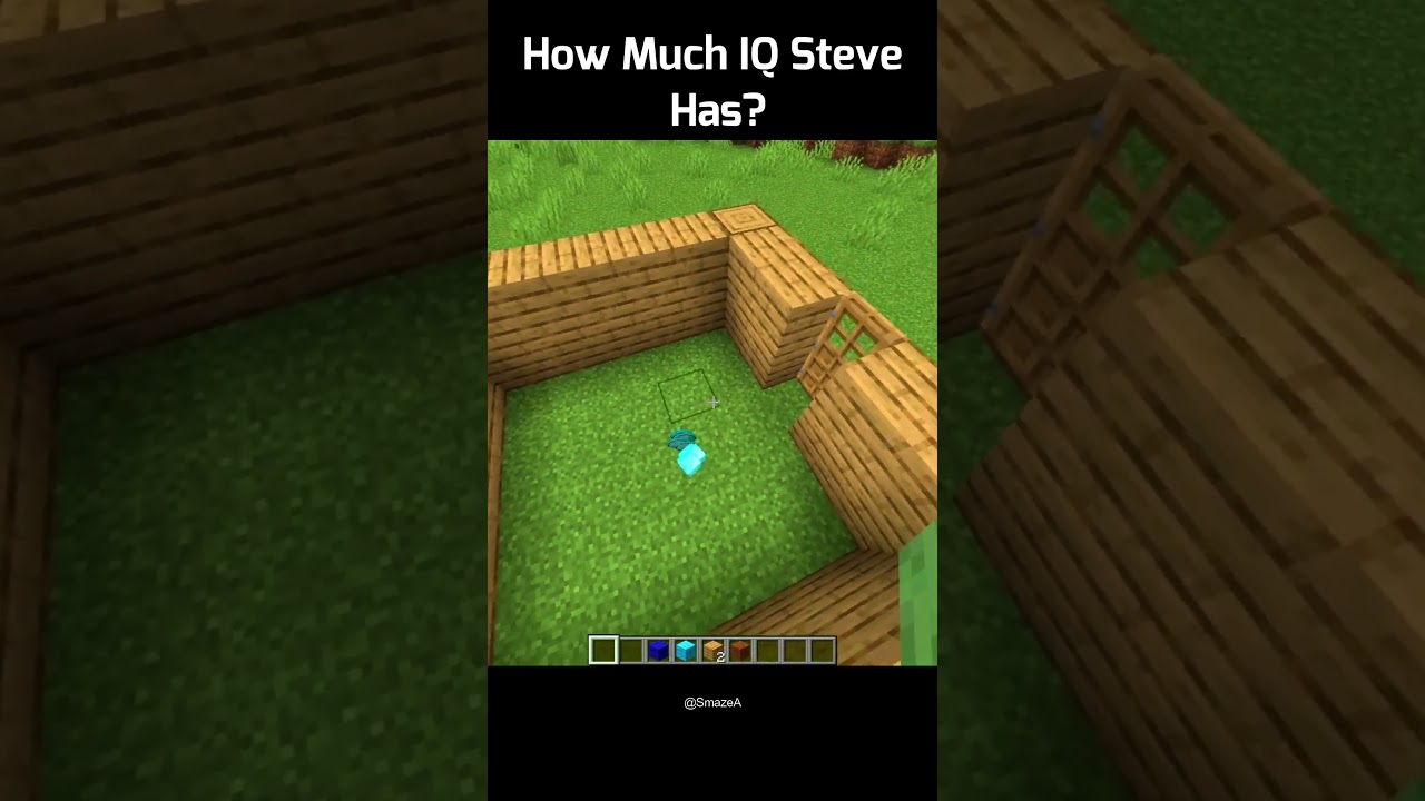 Bro Has -0 IQ #minecraft #gaming #memes #shorts - Minecraft videos