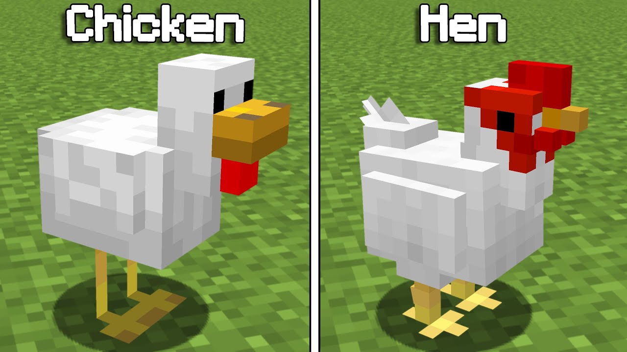 Every Minecraft Features You Didn't Know Existed (Hindi) - Minecraft videos