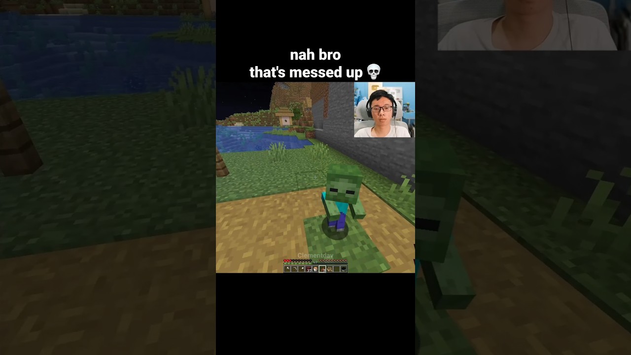 Minecraft Baby Zombie Moment - Minecraft videos